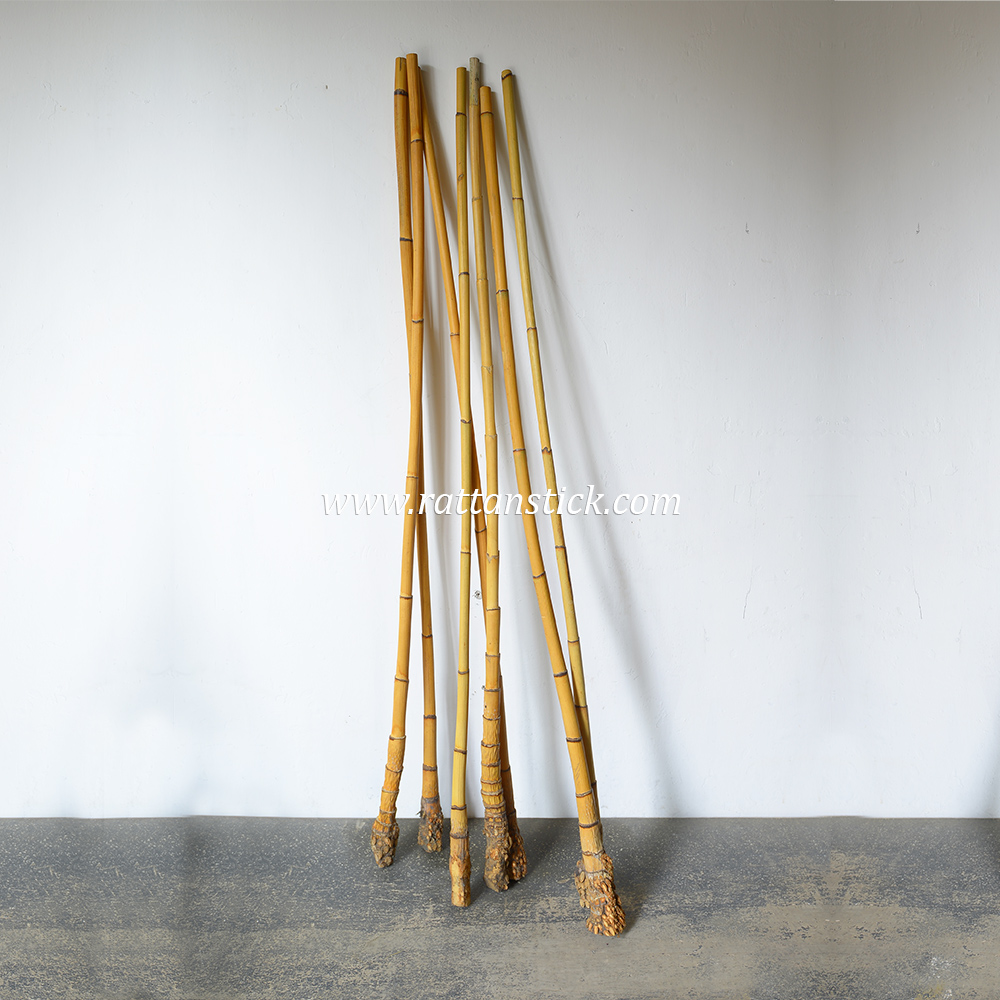 Rattan Manau Stick - Root Rattan