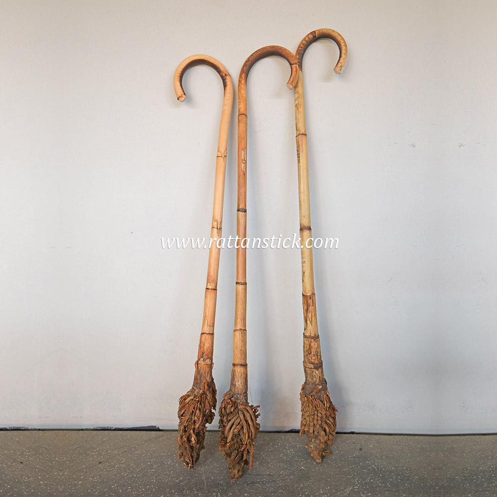 Rattan Walking Sticks, Root Rattan